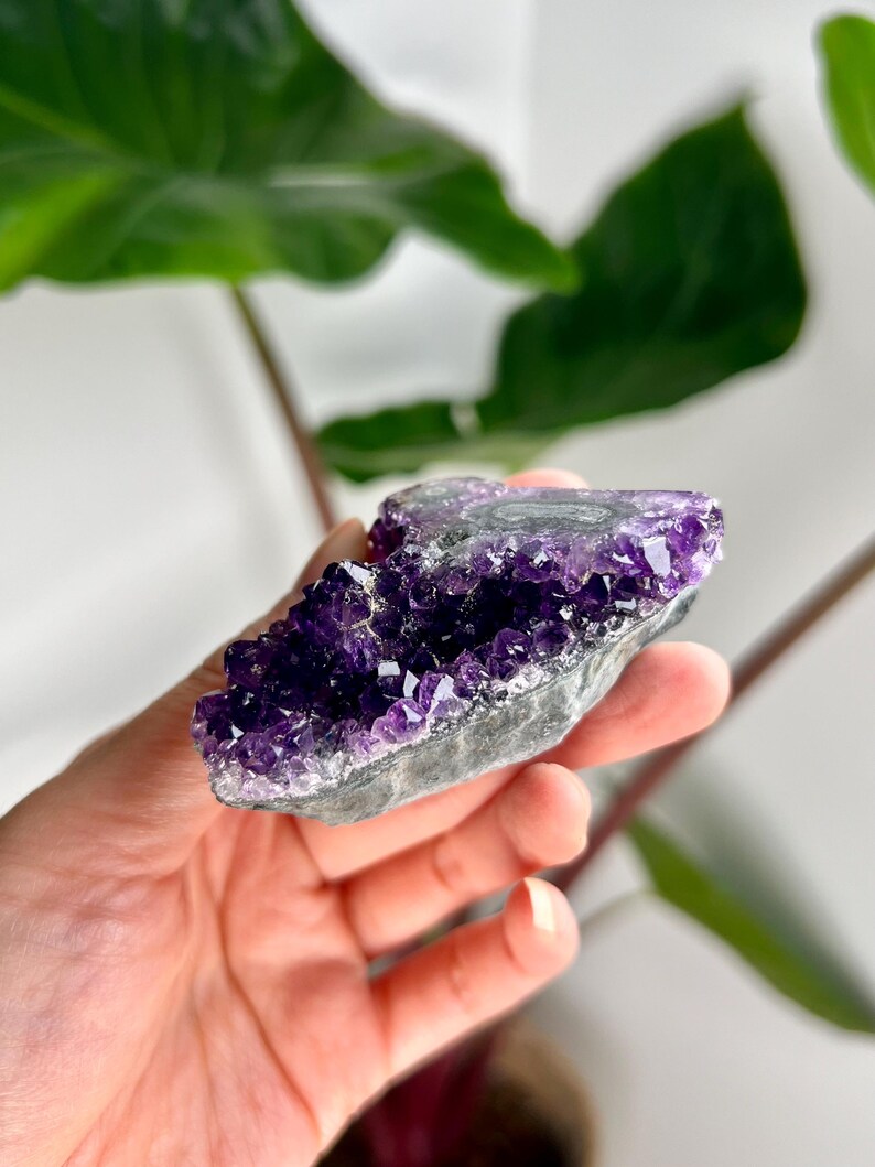 Grade AA Natural Amethyst Flower Stalactite From Uruguay – Unique ...