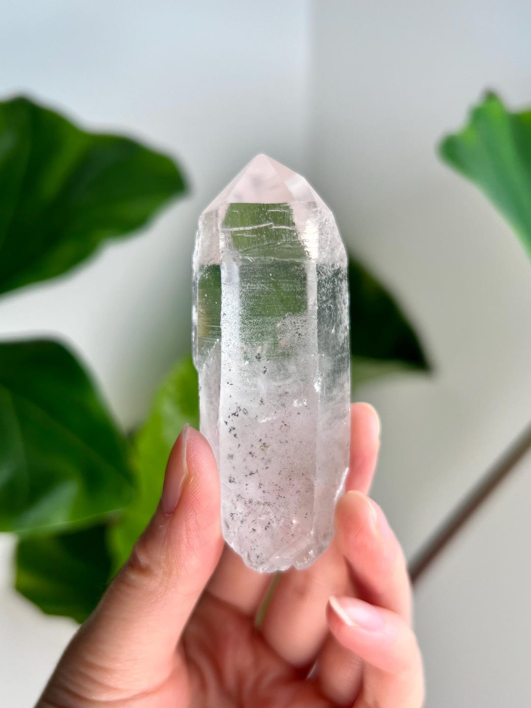 Grade AA Natural Clear Quartz Point With Chlorite - A Harmony of ...