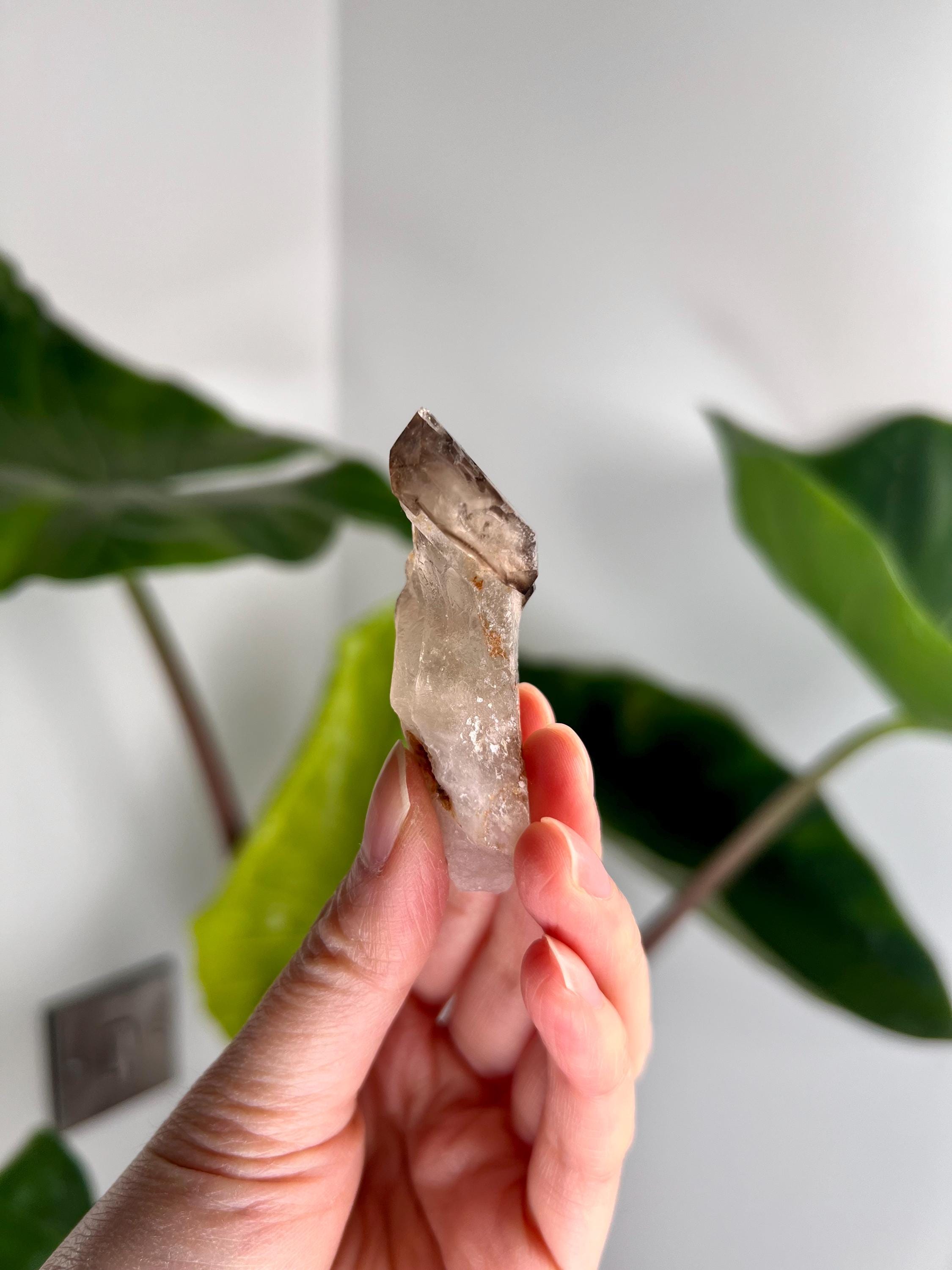 Grade AA Natural Adaptogenic BG3 Citrine Scepter Specimen - With Smoky ...