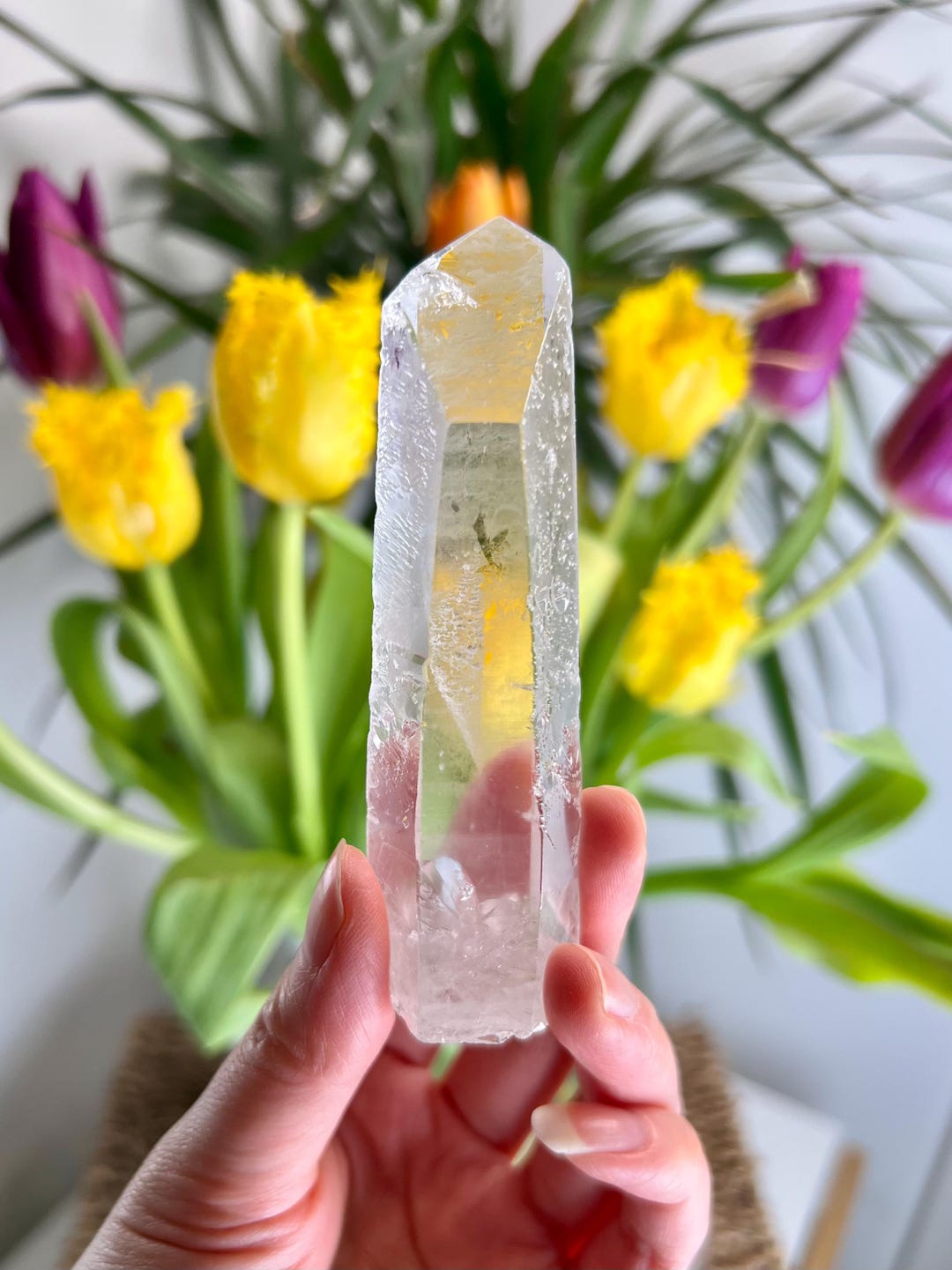 Grade AA Starbrary Quartz Unique Glyphs, Record Keepers, and Galactic Wisdom, From Tomás Gonzaga ...