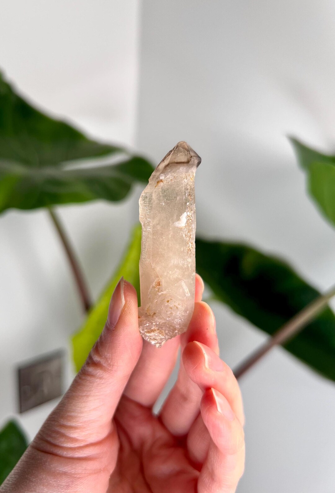 Grade AA Natural Adaptogenic BG3 Citrine Scepter Specimen - With Smoky ...