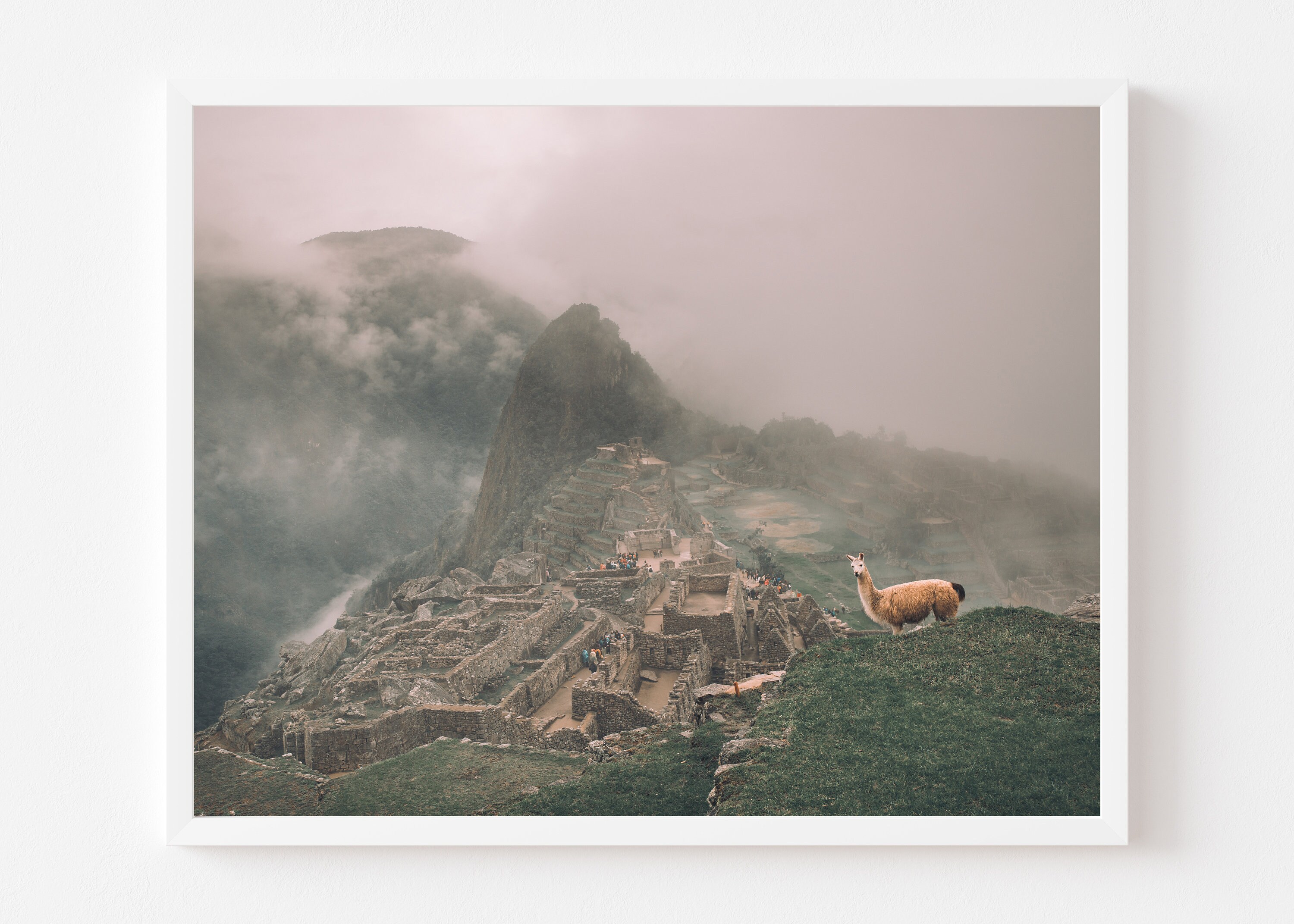 Machu Picchu With Llama Wall Art Peru Print Llama Print Machu Picchu ...