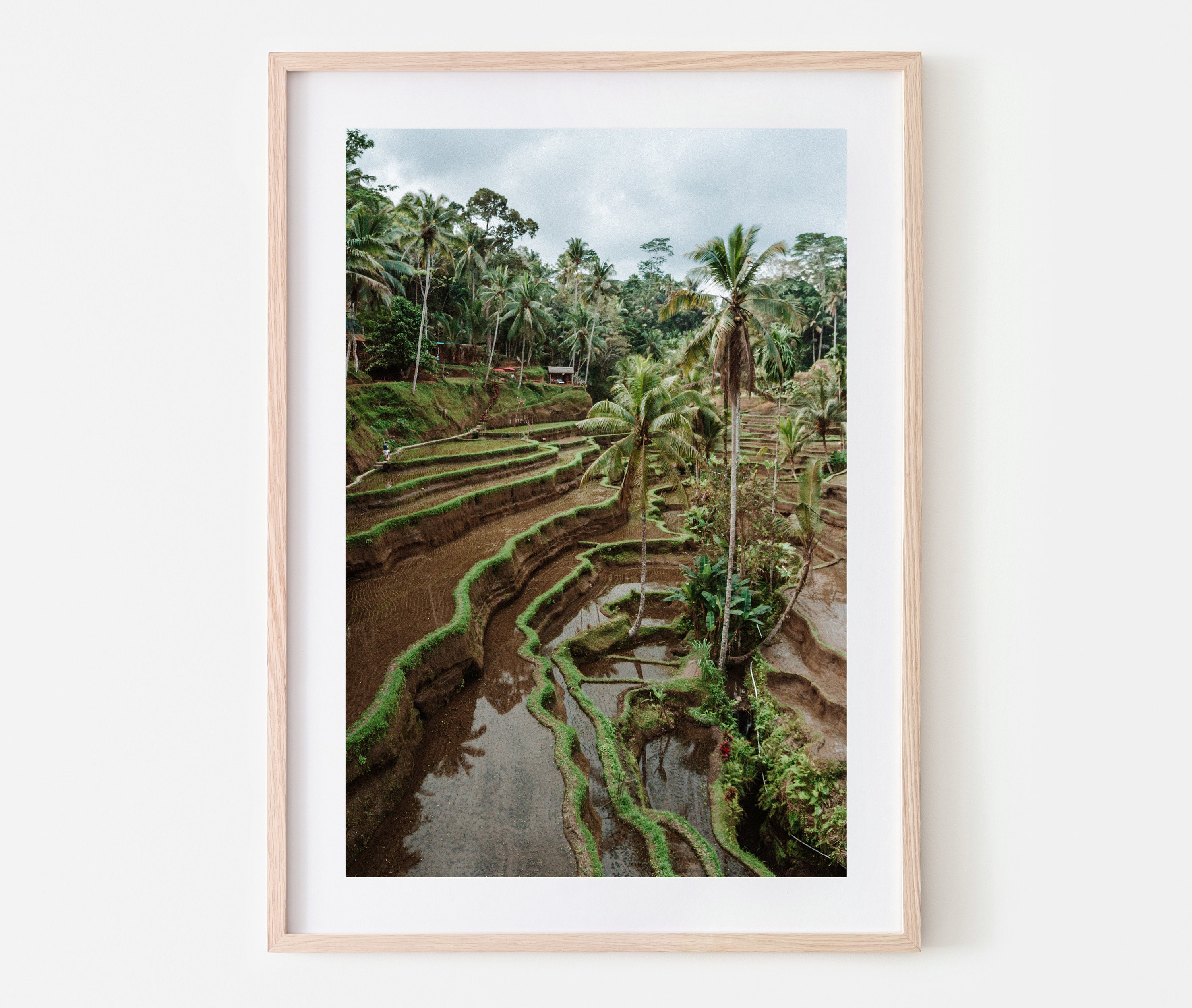 Bali Rice Terrace Print | Jungle Print | Wall Art Boho Tropical ...