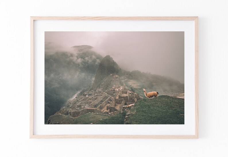 Machu Picchu With Llama Wall Art Peru Print Llama Print Machu Picchu ...