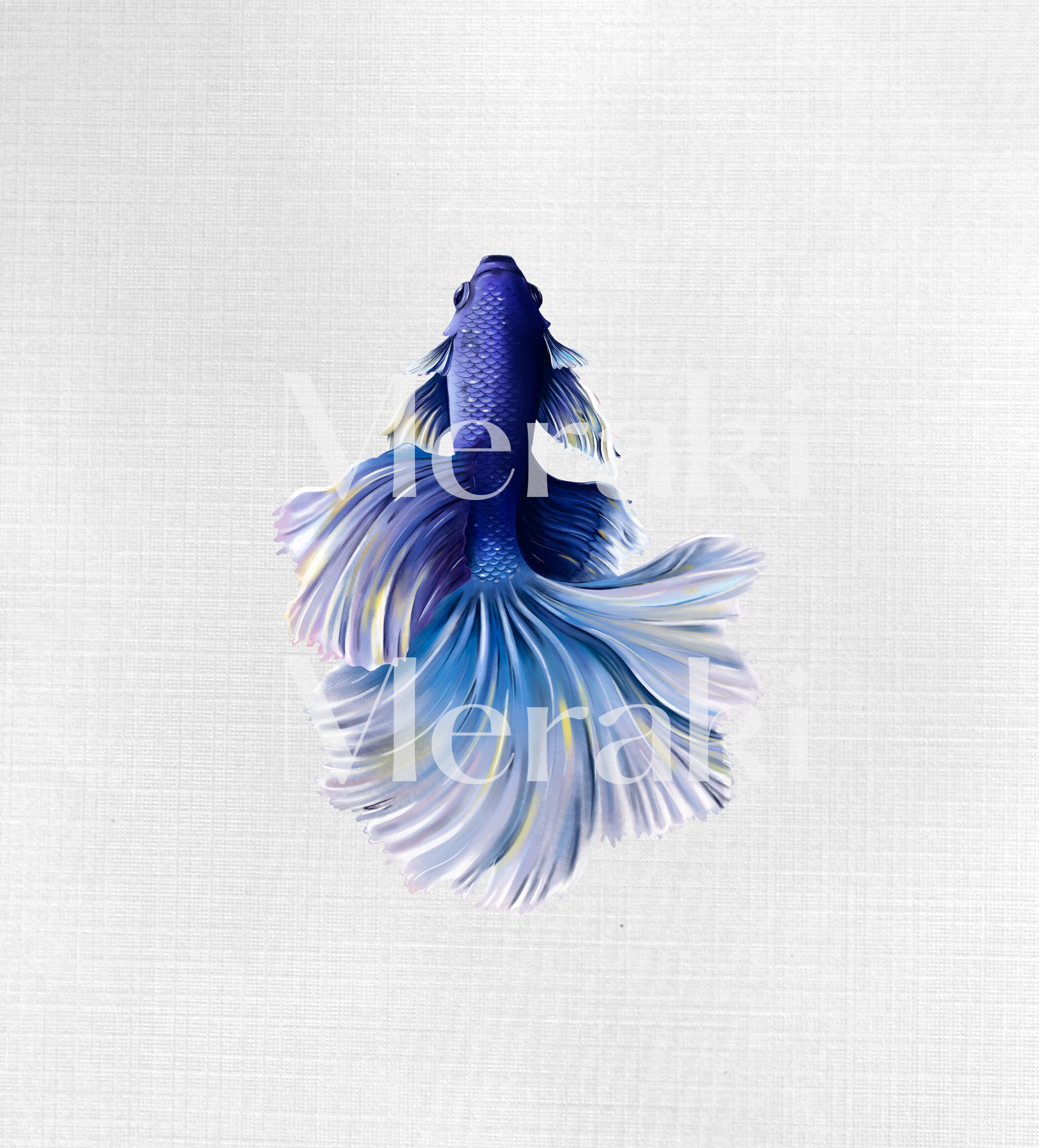 Indigo Betta Fish png jpg Digital DOWNLOAD Clipart Download | Etsy