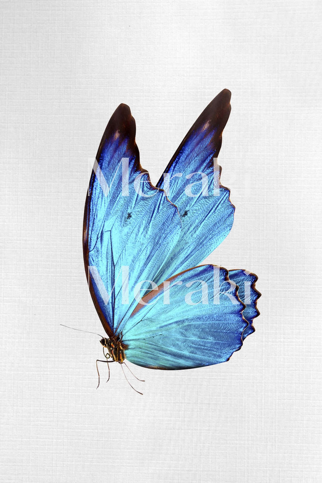 Blue Vintage Butterfly Png and Jpg Digital DOWNLOAD | Clipart Download ...