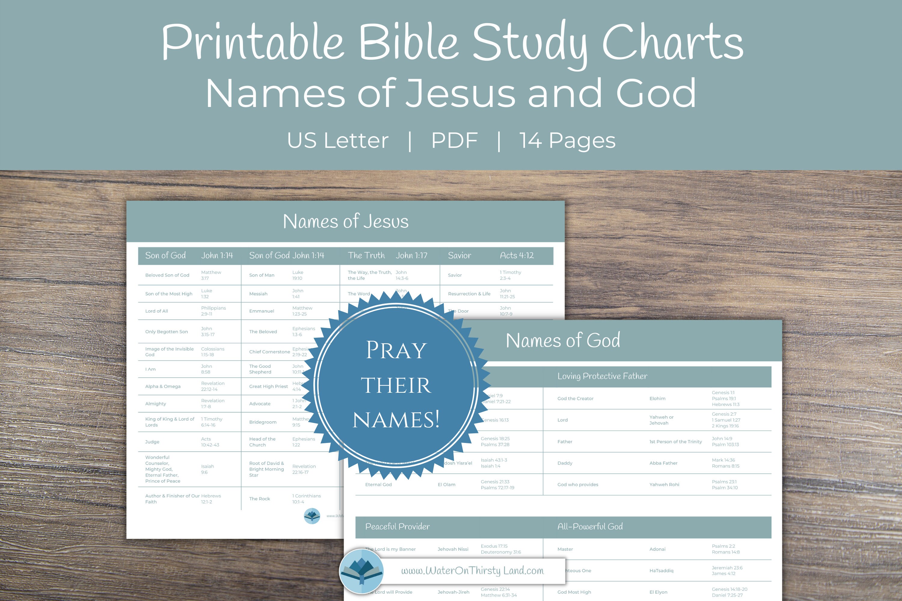 Bible Study Charts, Helpful Bible Study Tools for Christians - Etsy