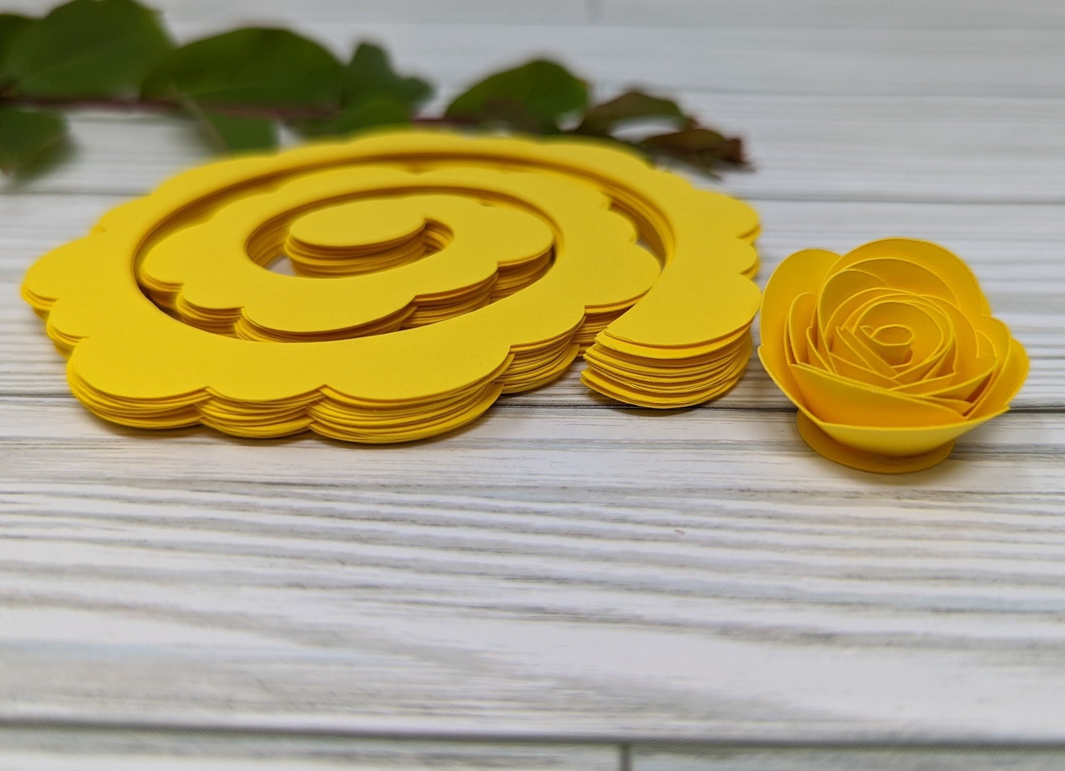 20 Pcs DIY Pre-cut Paper Flower| Unrolled Paper Flower| DIY Paper ...