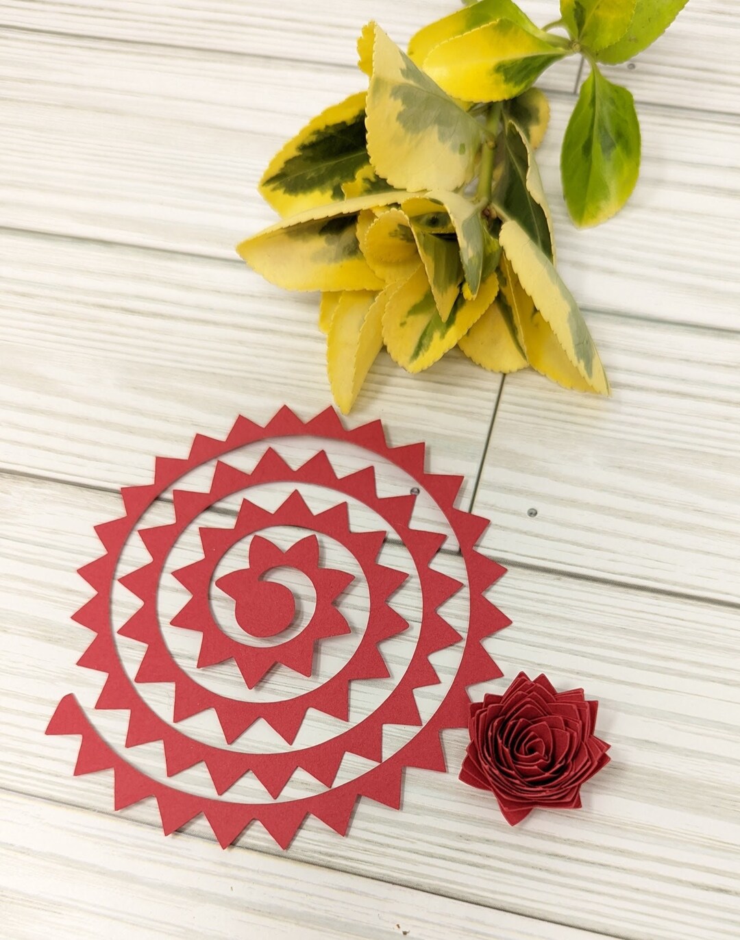 20 Pcs DIY Pre-cut Paper Flower Unrolled Paper Flower DIY Paper Flowers ...