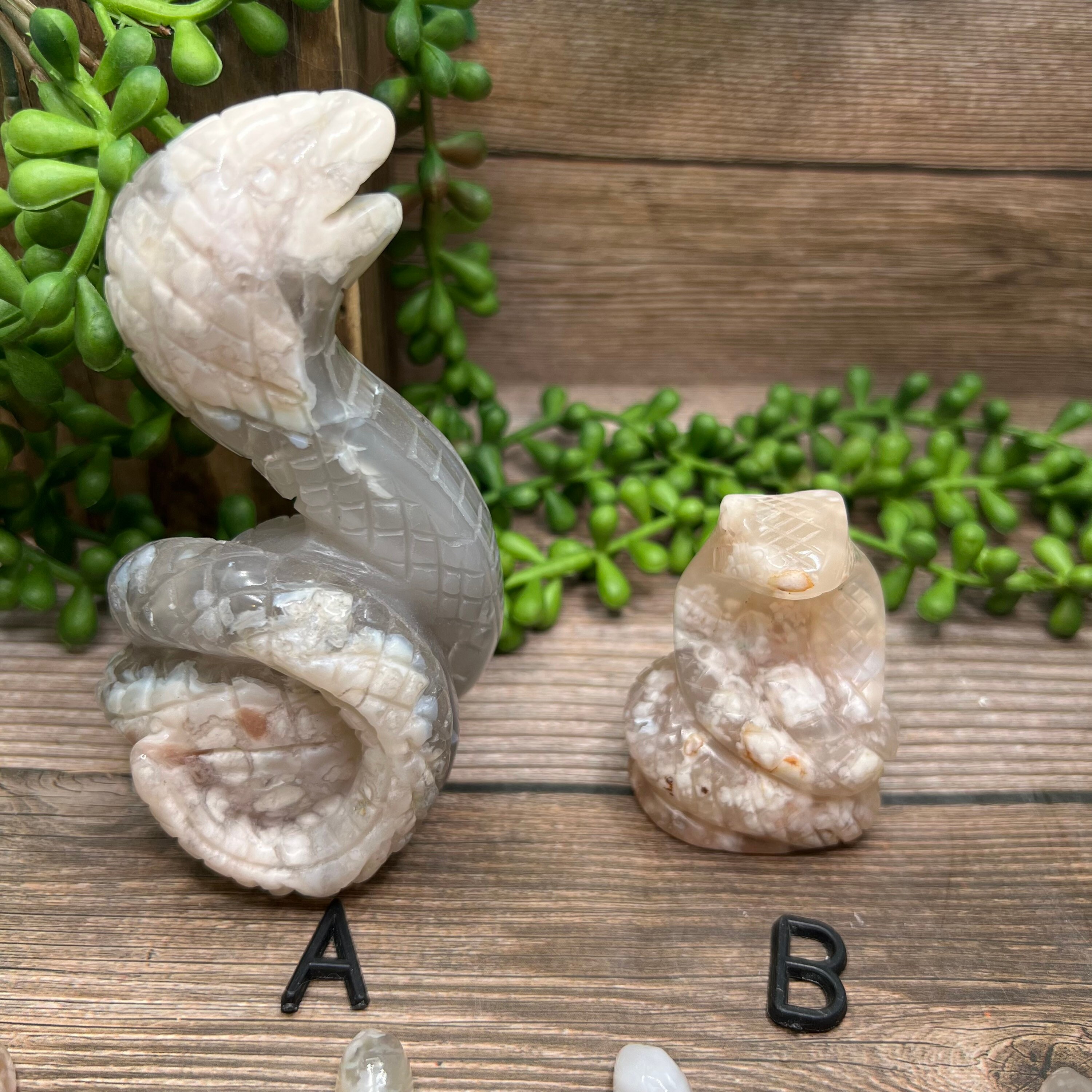 Flower Agate Snakes You Choose - Etsy