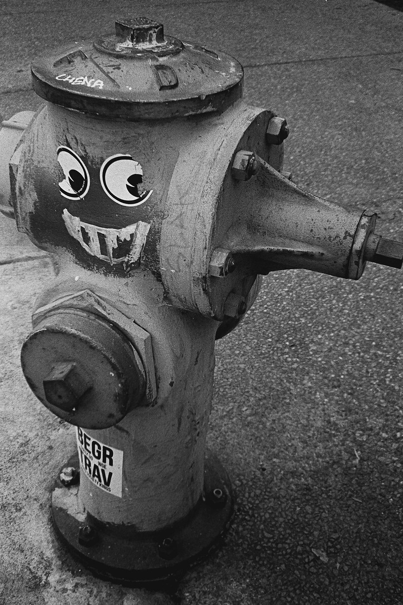 Happy Fire Hydrant - Etsy