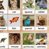 Dinosaurs Skip Counting Puzzle Games Printable Montessori Educational ...