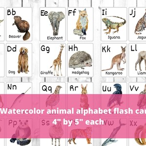 Watercolor Animal Alphabet Flashcards Montessori Educational - Etsy