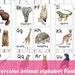 Watercolor Animal Alphabet Flashcards Montessori Educational - Etsy