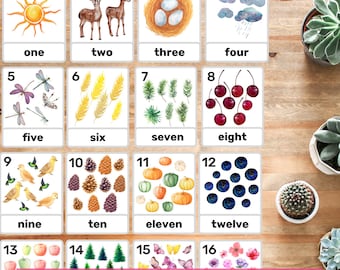 Montessori Nature Numbers - Etsy