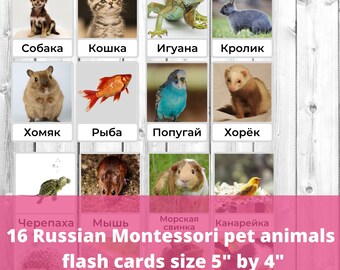 Pet Flash Cards - Etsy