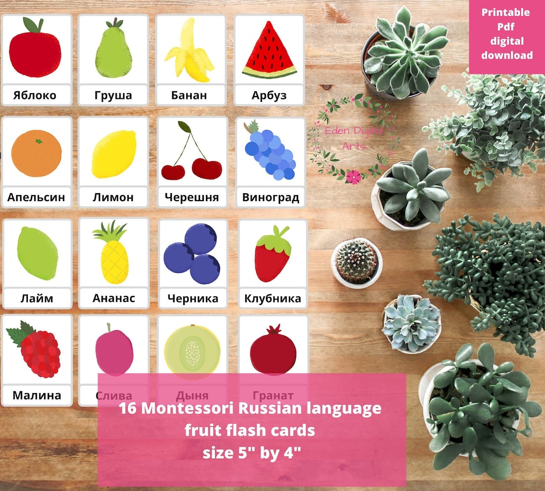 Russian Language Fruit Flashcards Montessori Colorful Game Cards ...