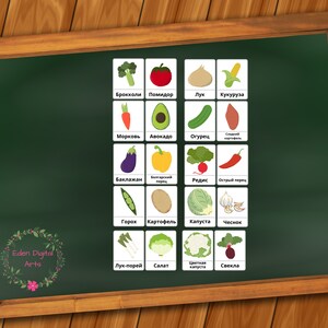 Russian Language Vegetables Food Flash Cards Montessori - Etsy