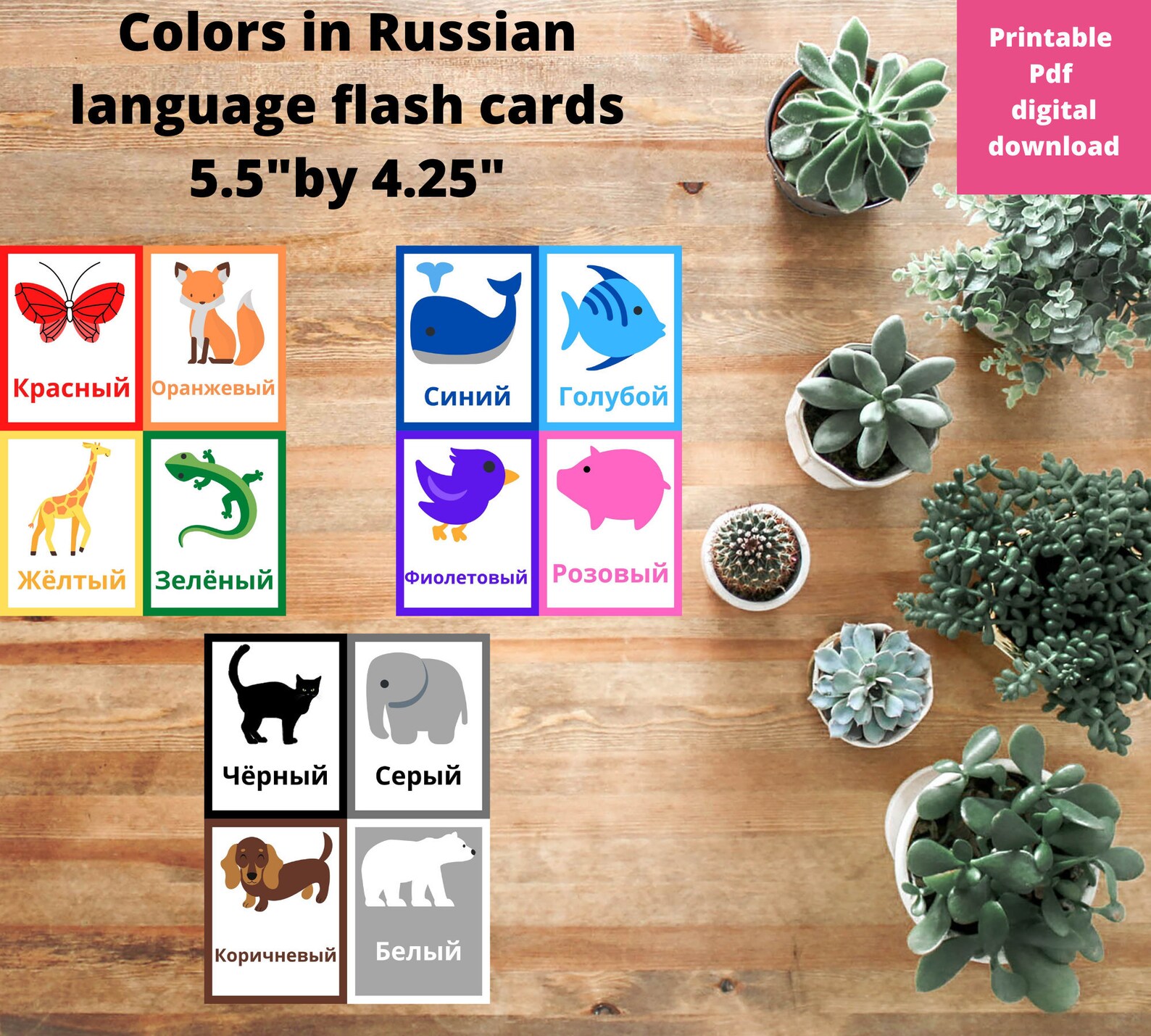 Russian Language Colors Flash Cards for Kids Educational - Etsy
