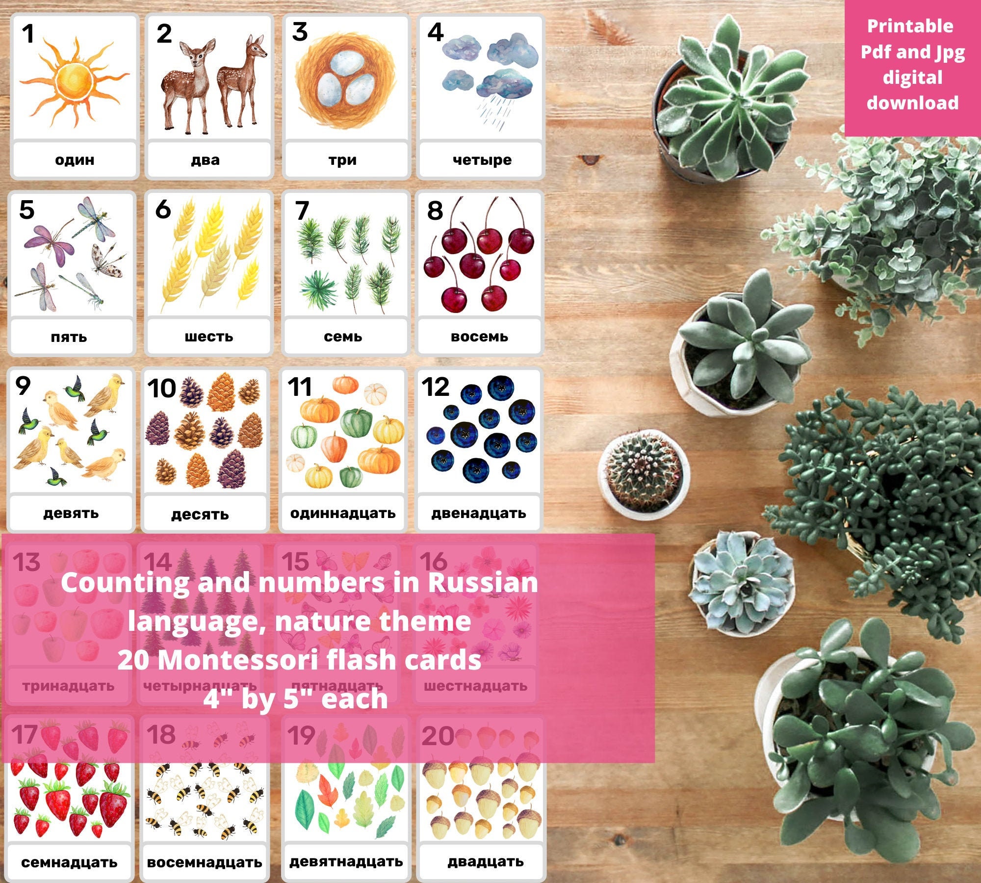 Russian Language Numbers Counting Nature Flashcards Cyrillic - Etsy