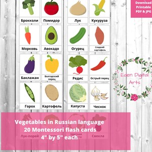 Russian Language Vegetables Food Flash Cards, Montessori Colorful Cards ...