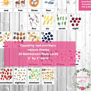 Nature Themed Numbers Flashcards, Charlotte Mason Counting Watercolor ...