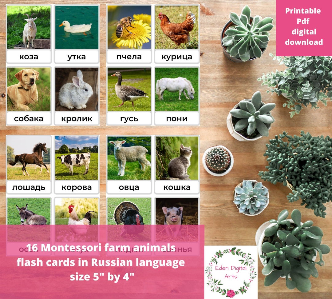 Russian Language Farm Animals for Kids, Real Photos Printable ...