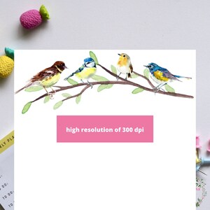 Backyard Birds Writing Paper Printable Stationery Lined and Blank, A4 ...
