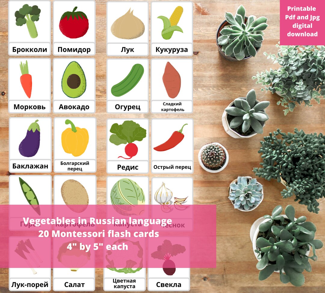 Russian Language Vegetables Food Flash Cards, Montessori Colorful Cards ...