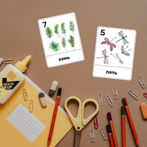 Russian Language Numbers Counting Nature Flashcards, Cyrillic ...