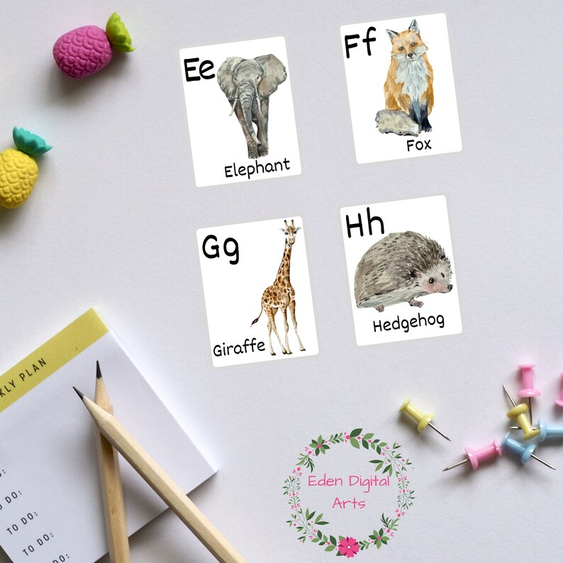 Watercolor Animal Alphabet Flashcards Montessori Educational - Etsy