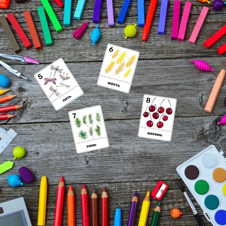 Russian Language Numbers Counting Nature Flash Cards Cyrillic | Etsy