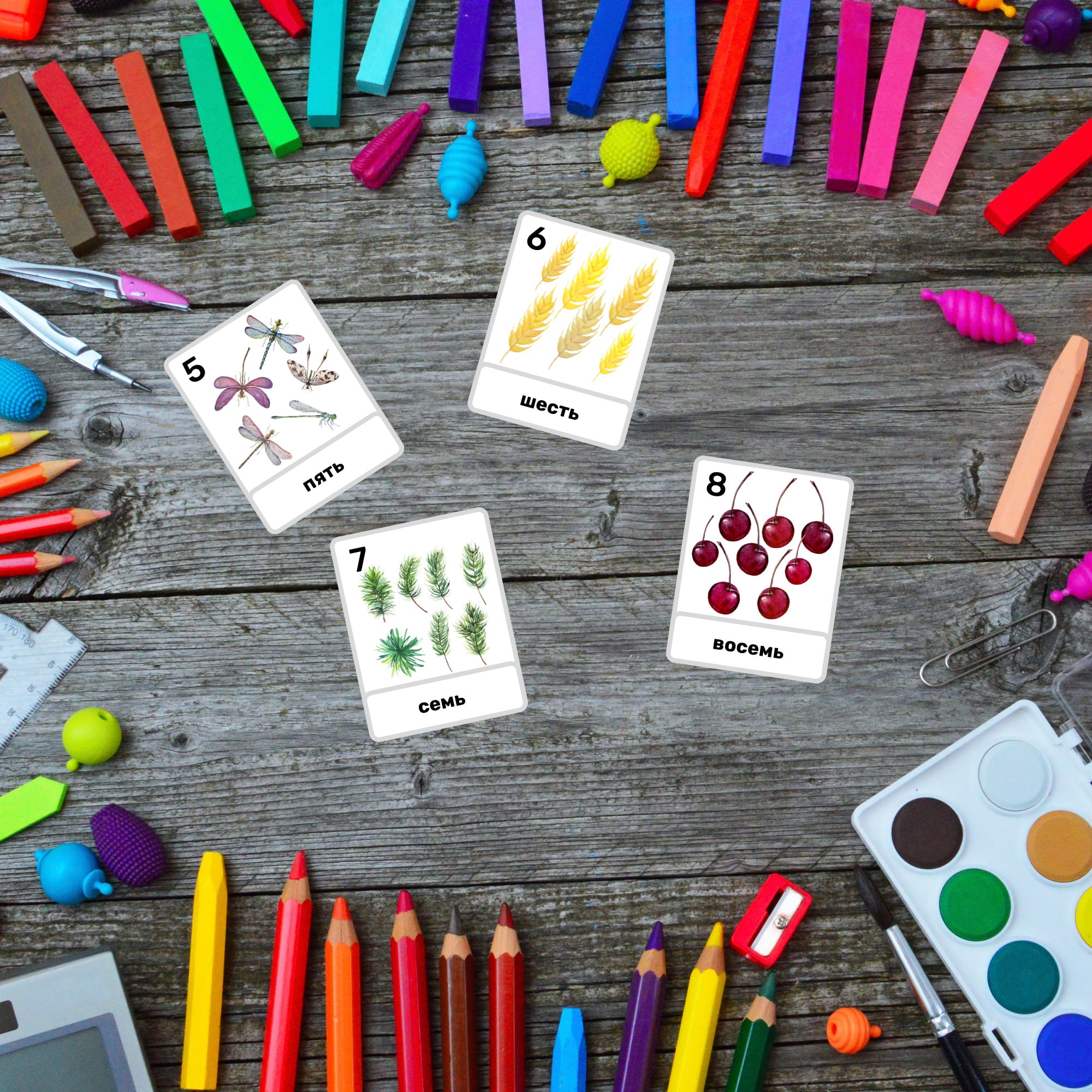 Russian Language Numbers Counting Nature Flashcards Cyrillic - Etsy