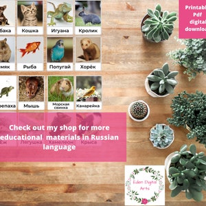 Educational Posters in Russian Language for Kids, Printable PDF Set of ...