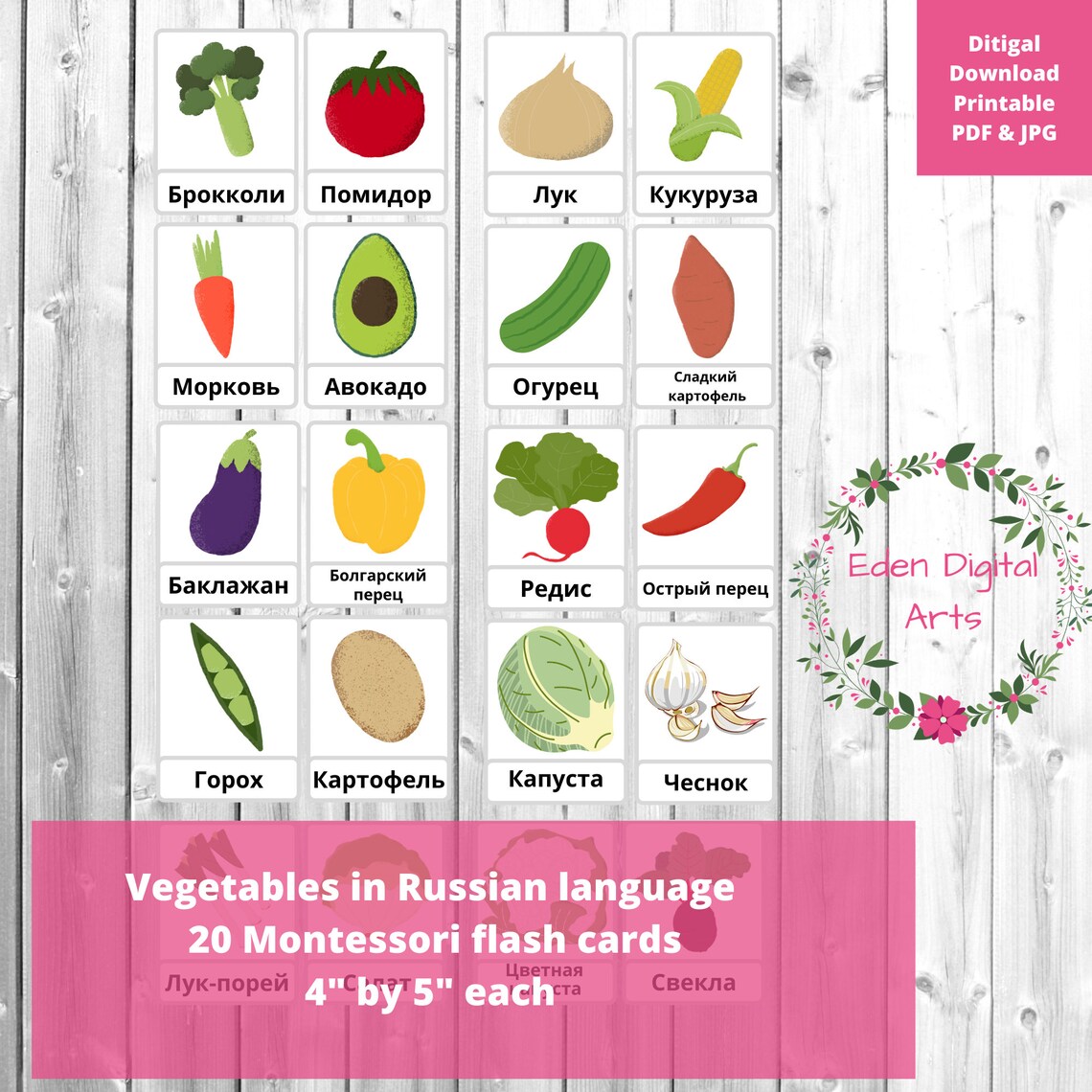 Russian Language Vegetables Food Flash Cards Montessori - Etsy