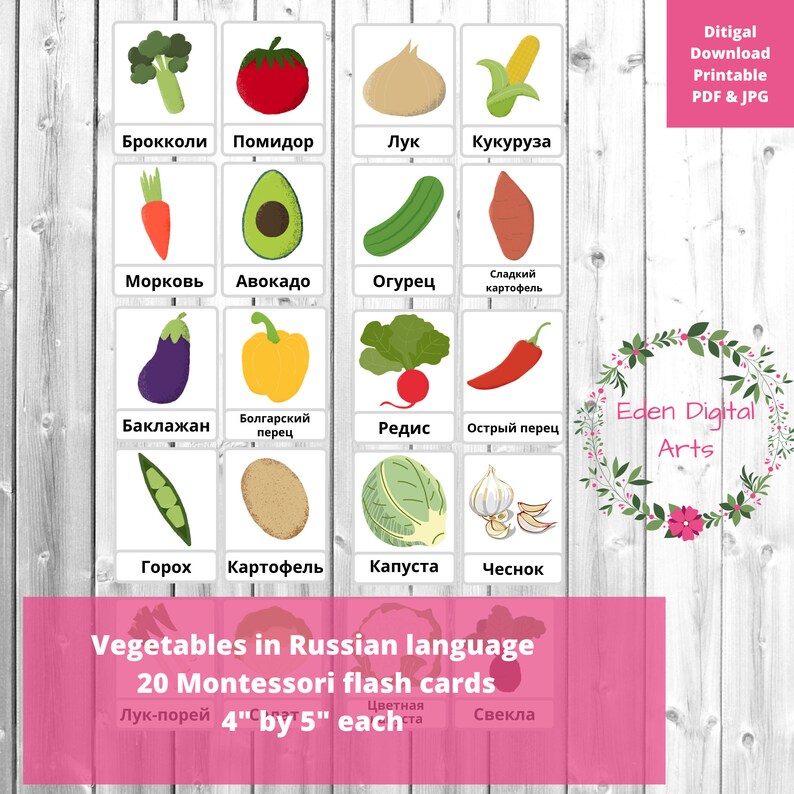 Russian Language Vegetables Food Flash Cards Montessori | Etsy