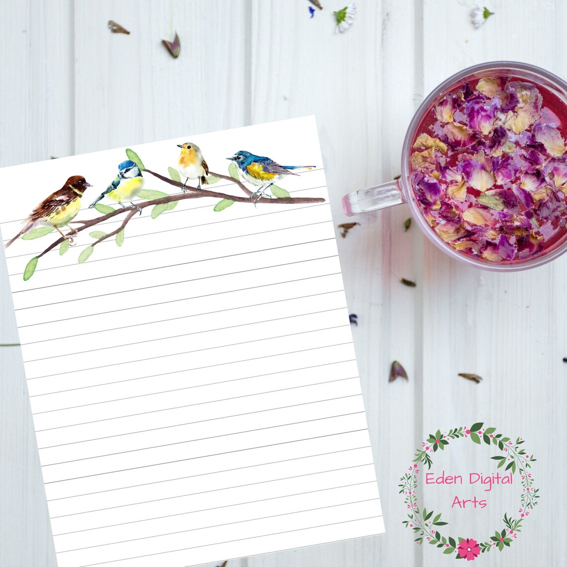 Backyard Birds Writing Paper Printable Stationery Lined and | Etsy