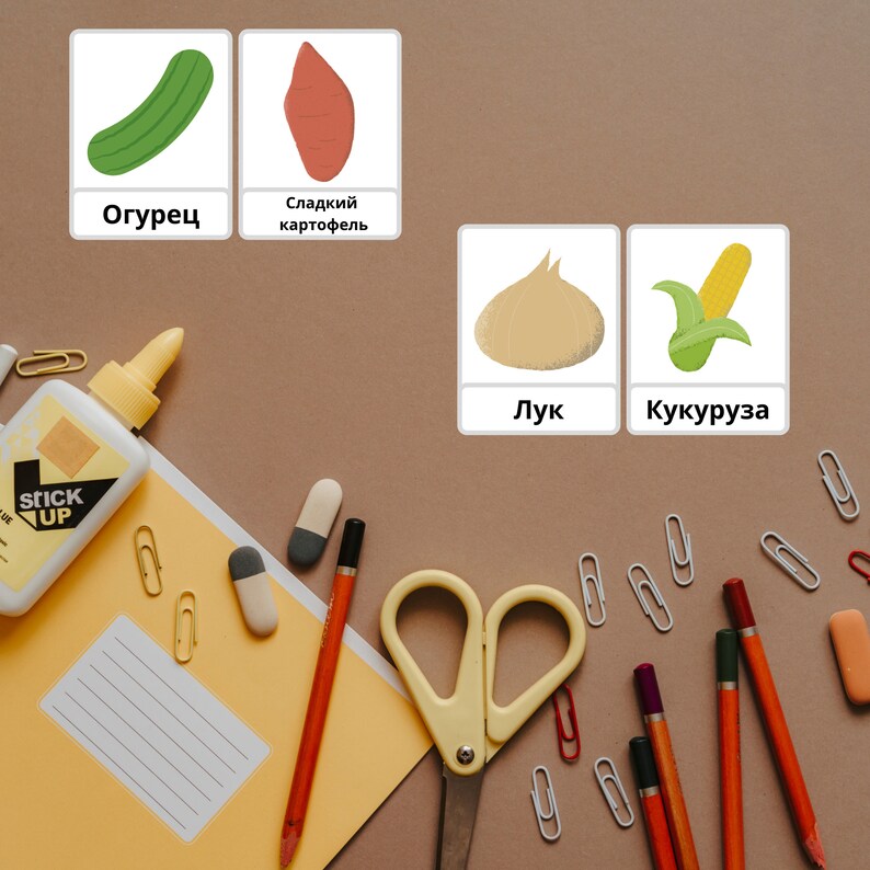 Russian Language Vegetables Food Flash Cards Montessori - Etsy