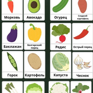 Russian Language Vegetables Food Flash Cards, Montessori Colorful Cards ...