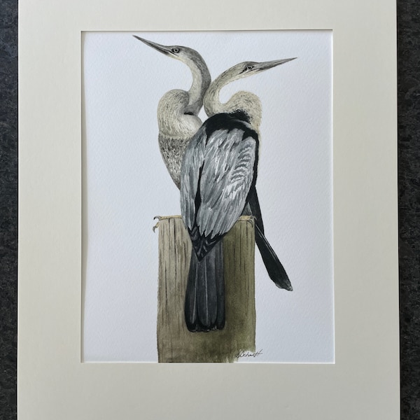 Anhinga - Etsy