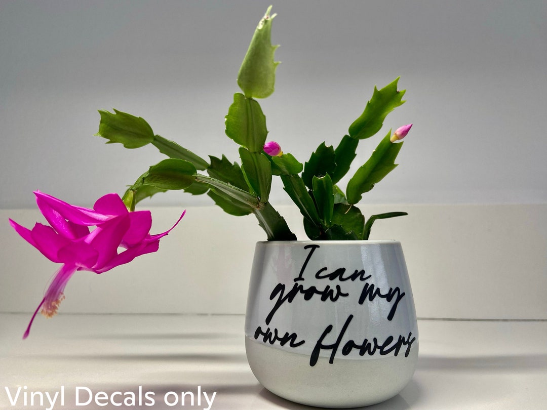 Custom Labels Stickers Decals Plant Pot Decal Plant - Etsy