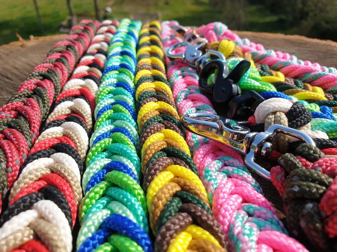 Braided Dog Leash Design Your Own Dog Leash Fishtail Etsy