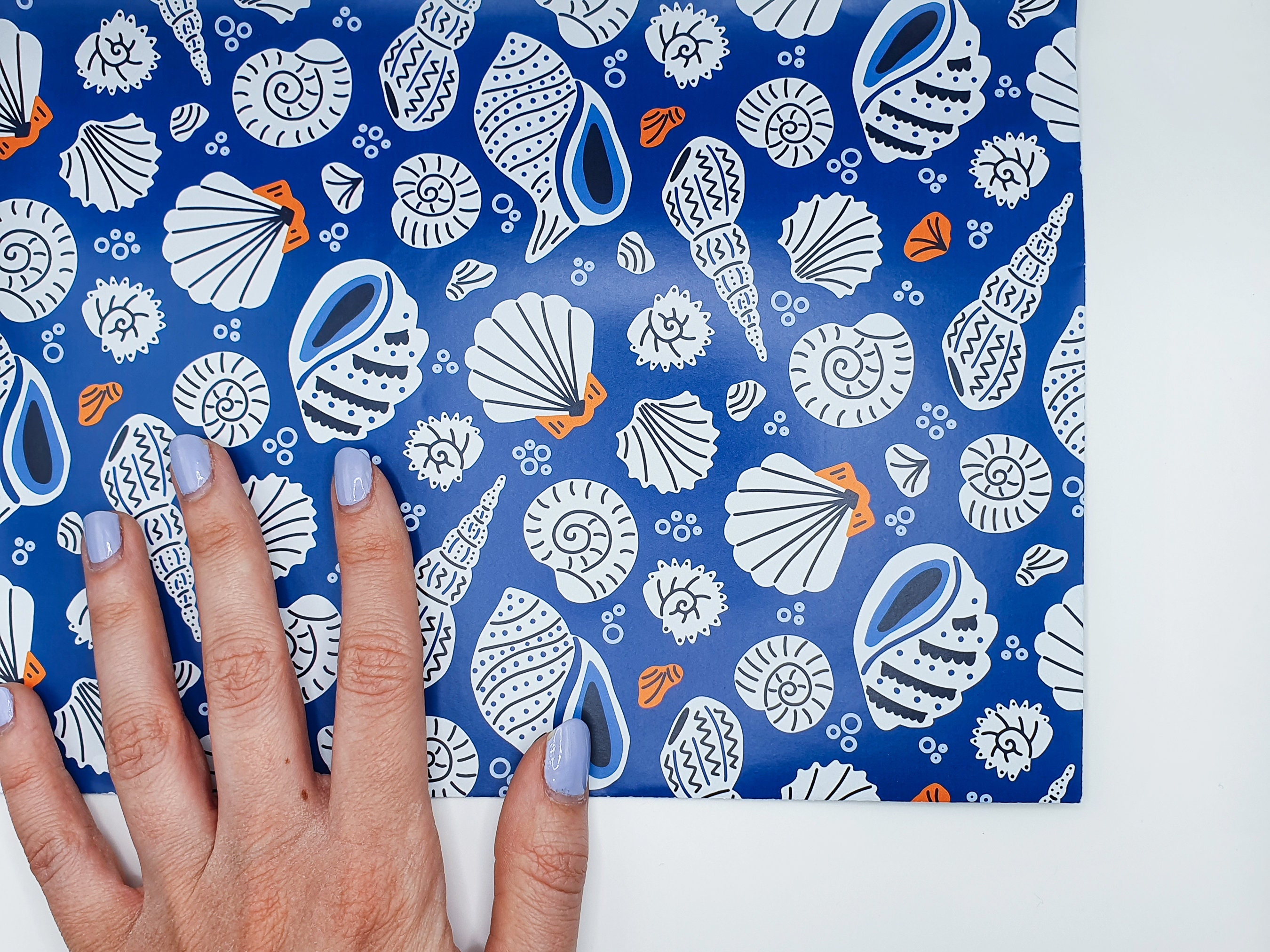 Blue Seashell Gift Wrap Sheets, Hand-designed Ocean Theme Wrapping ...