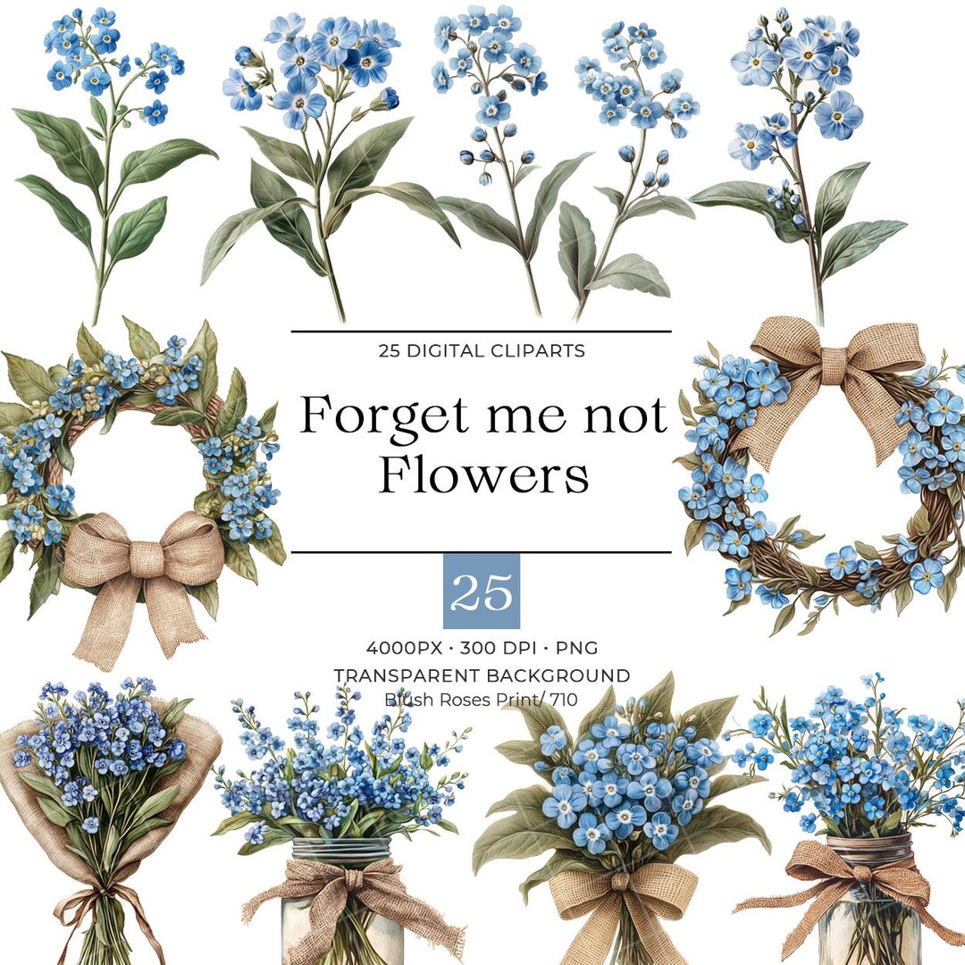 Forget Me Not Flower Clipart, Vintage Watercolor Blue Forget Me Not ...