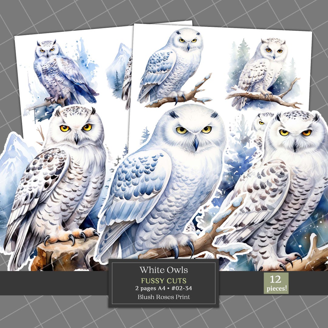 White Owls Clipart Fussy Cuts, Watercolor Snow Owl Fussy Cuts, (digital ...