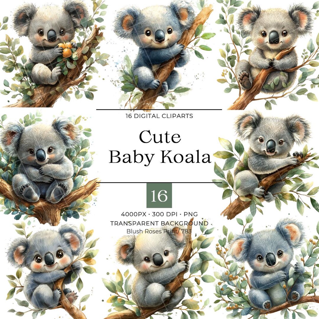 Watercolor Baby Koala Clipart, Cute Koala Clip Art Bundle, Junk Journal ...