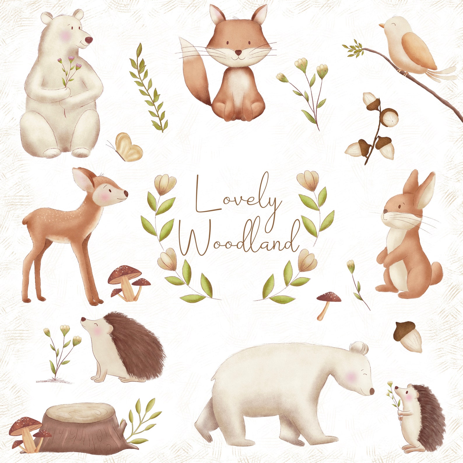 Lovely Cute Woodland Clipart's | Etsy