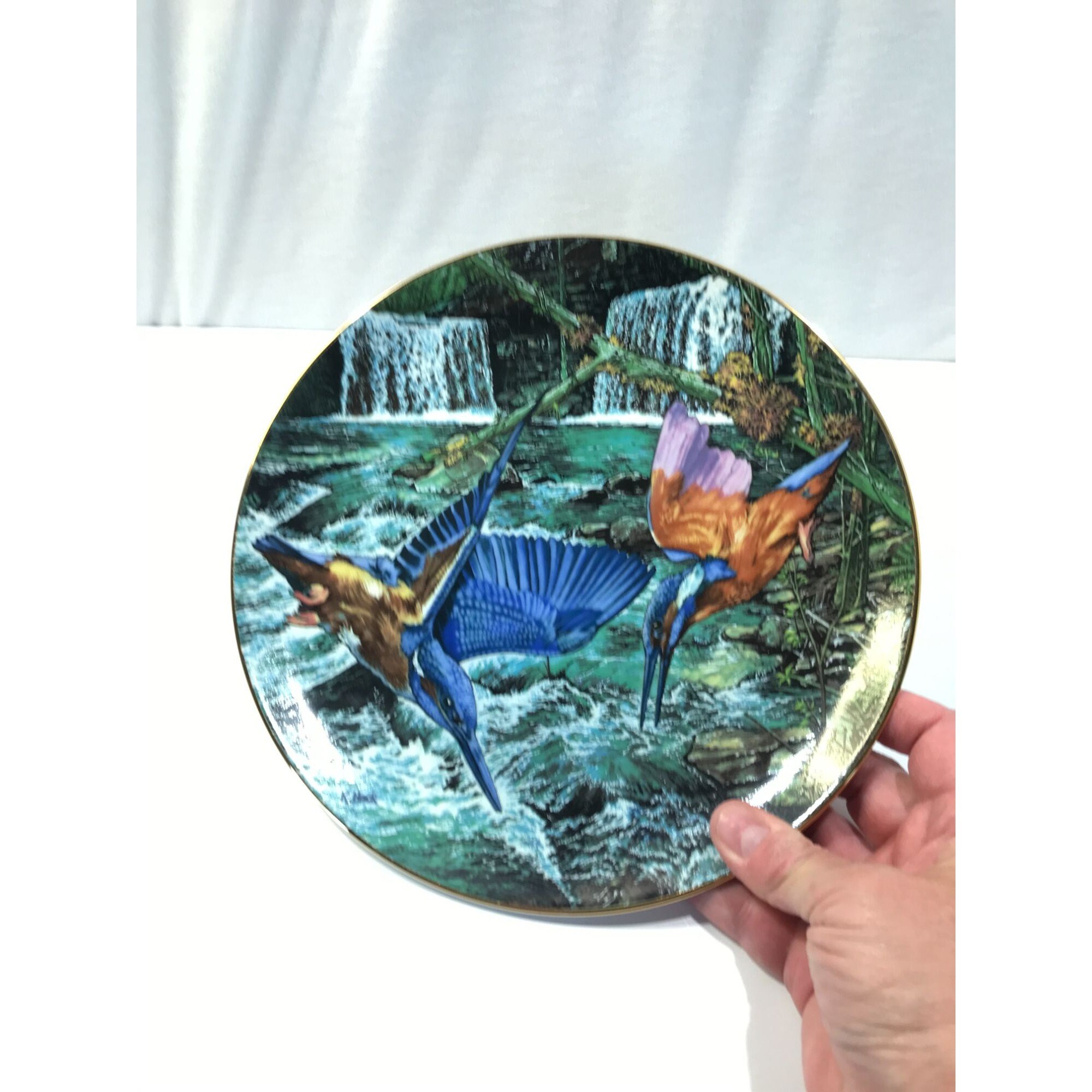 Kingfisher the Exotic Birds of Tropique 1981 Plate Royal Cornwall by ...