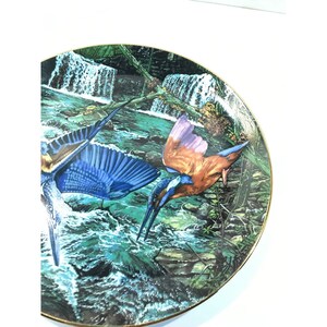 Kingfisher the Exotic Birds of Tropique 1981 Plate Royal Cornwall by ...