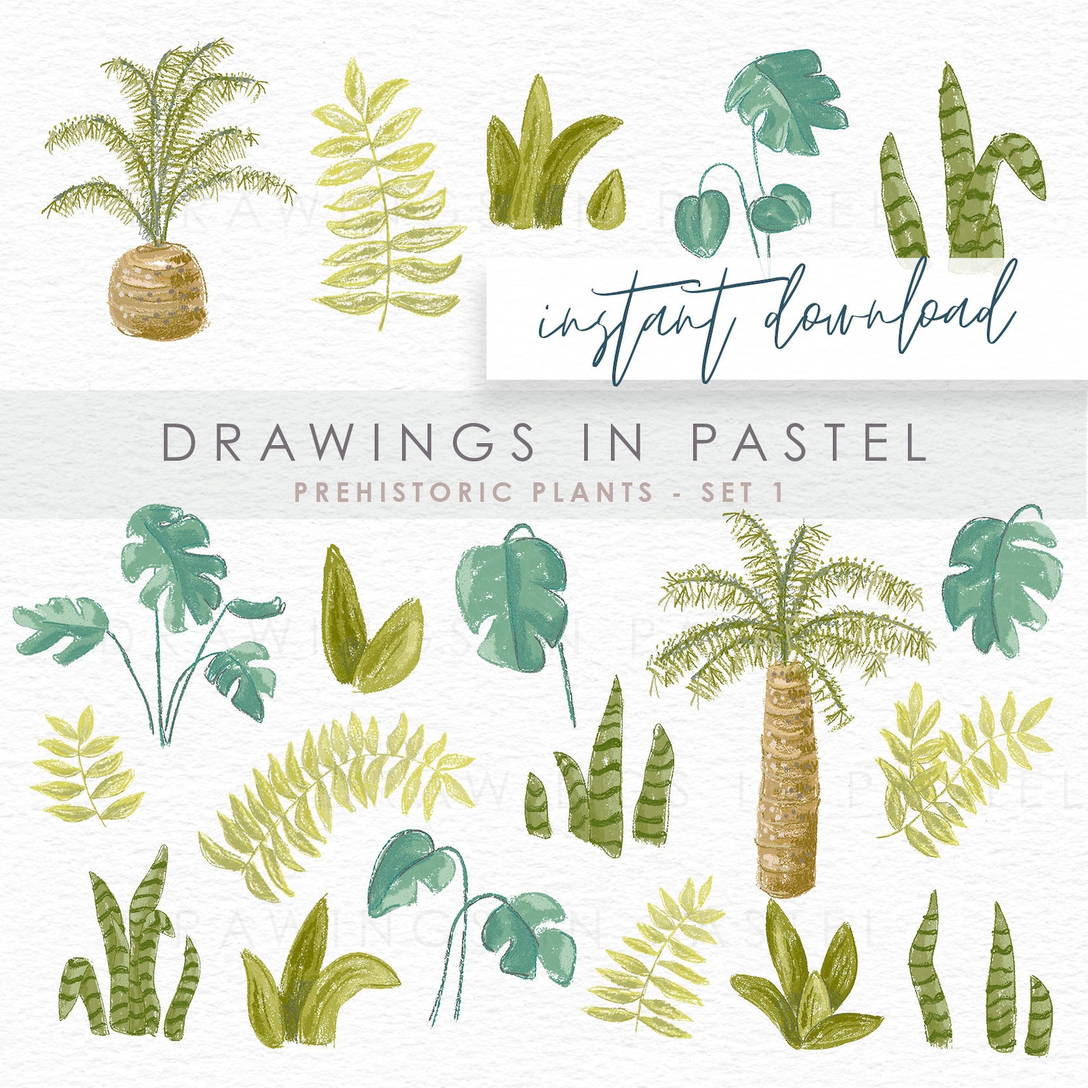 Prehistoric Plants clip art 20 different prehistoric plants | Etsy